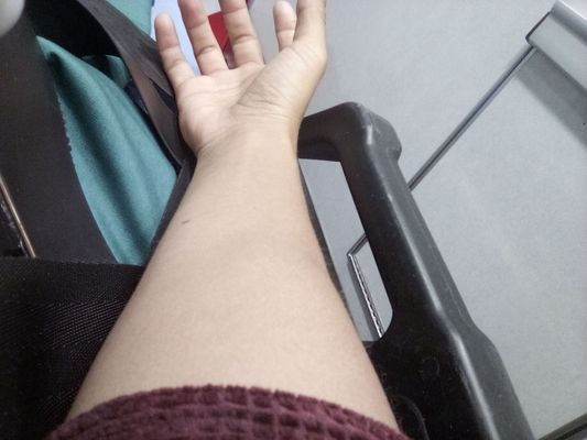 BAYVIEW CRISIS STABILIZATION UNIT - Updated December 2025 - 330 Moss St ...