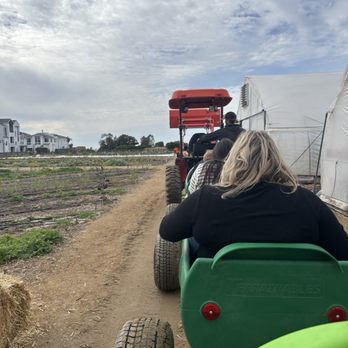 FOX POINT FARMS - Updated April 2025 - 310 Photos & 113 Reviews - 1150 ...