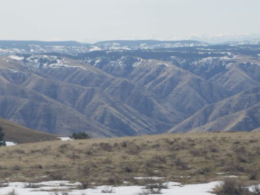 FIELDS SPRING STATE PARK - Updated October 2025 - 14 Photos - 992 Park ...