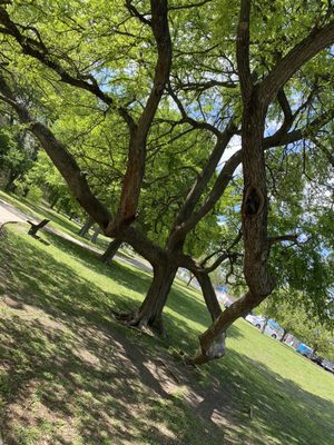 PFLUGER PARK - 79 Photos & 38 Reviews - 515 City Park Rd, Pflugerville ...