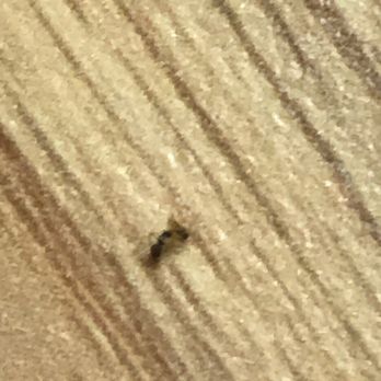 SPACE COAST INN - Updated December 2025 - 10 Photos & 13 Reviews - 820 ...