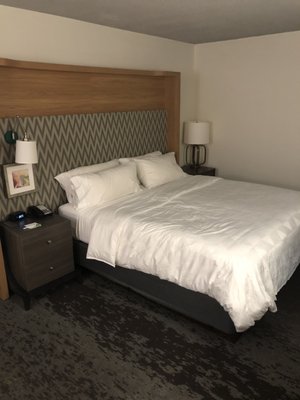 HOLIDAY INN ROANOKE AIRPORT - CONFERENCE CTR - Updated March 2025 - 36 ...