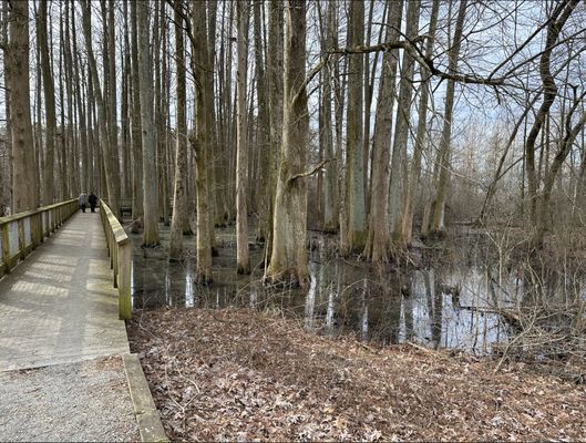 WHEELER NATIONAL WILDLIFE REFUGE - Updated October 2025 - 135 Photos ...