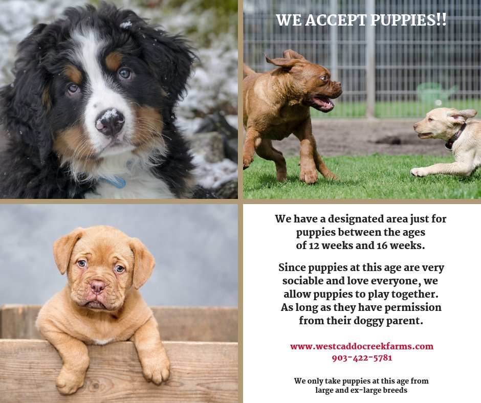 WEST CADDO CREEK FARMS - Updated October 2025 - 13 Photos - 1289 County ...