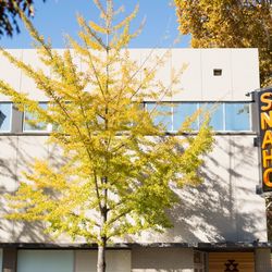 SACRAMENTO NATIVE AMERICAN HEALTH CENTER - 22 Photos & 89 Reviews ...