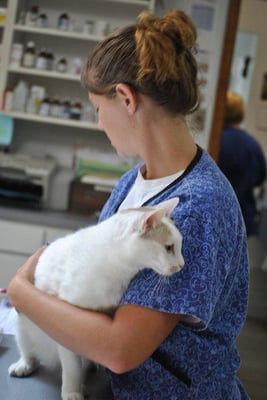 ANIMAL HOSPITAL OF NORTH MYRTLE BEACH - Updated December 2025 - 20 ...