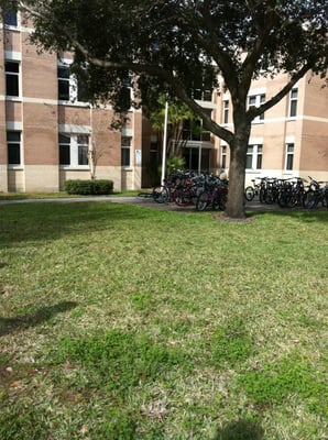 EMBRY-RIDDLE AERONAUTICAL UNIVERSITY - Updated November 2025 - 41 ...