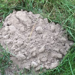 SECURUS TECHNOLOGIES - 161 Reviews - 14651 Dallas Pkwy, Dallas, TX - Yelp