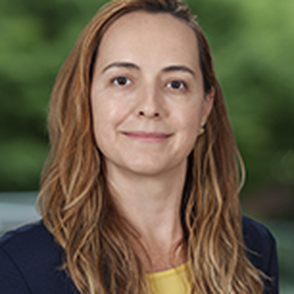 Allison Mccormick's Instagram, Twitter & Facebook on IDCrawl