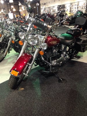 WHITE LIGHTNING HARLEY-DAVIDSON - Updated October 2025 - 31 Photos & 24 ...