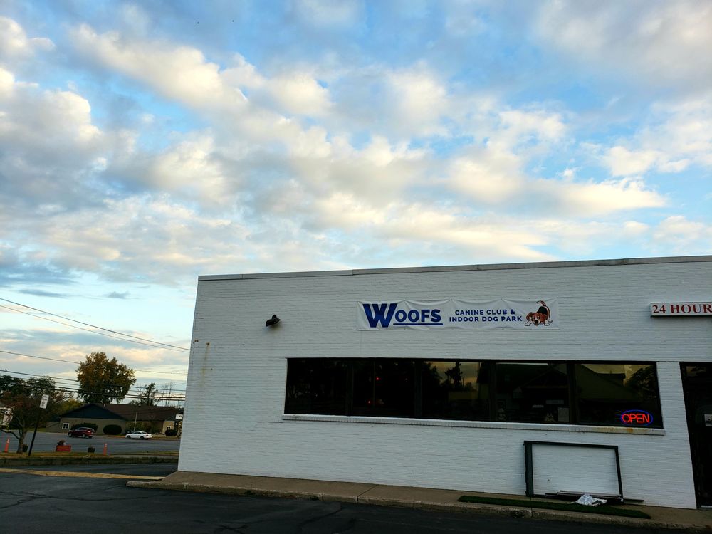 WOOFS CANINE CLUB & INDOOR DOG PARK - Updated December 2025 - 24 Photos ...