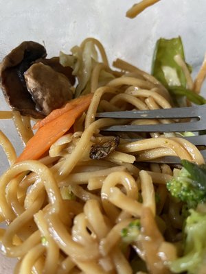 FENG LING RESTAURANT - 267 Photos & 136 Reviews - 11010 Westheimer Rd ...