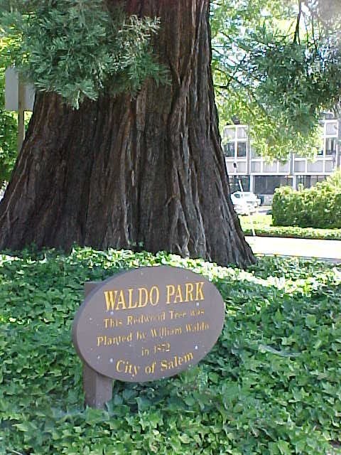 WALDO PARK - 605 Summer St NE, Salem, Oregon - Parks - Yelp