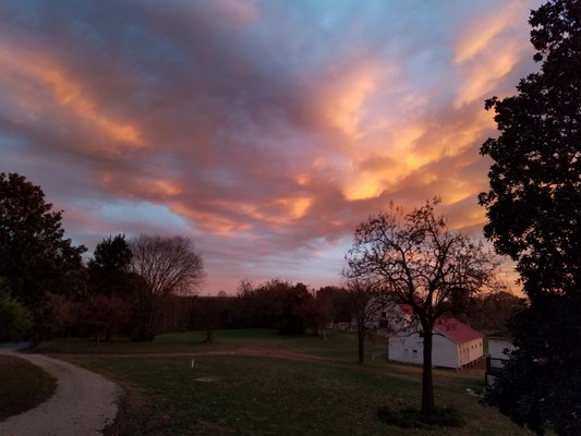 THE ESTATE AT WHITE HALL VINEYARD - 41 Photos - 3668 White Hall Rd ...