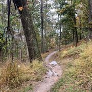 GAMBRILL STATE PARK - 65 Photos & 23 Reviews - Gambrill Park Rd ...