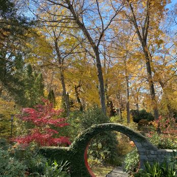 UNC CHARLOTTE BOTANICAL GARDENS - Updated May 2024 - 263 Photos & 43 ...