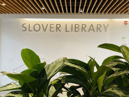 THE SLOVER - Updated January 2025 - 346 Photos & 54 Reviews - 235 E ...