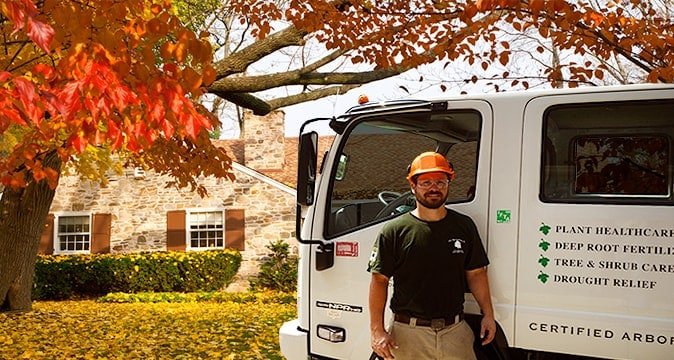 AAA TREE EXPERTS - Updated August 2024 - 42 Photos & 11 Reviews - 9535 ...