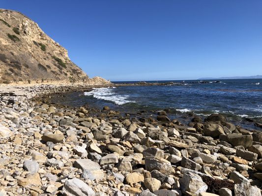 WHITE POINT/ROYAL PALMS COUNTY BEACH - 618 Photos & 107 Reviews - 1799 ...