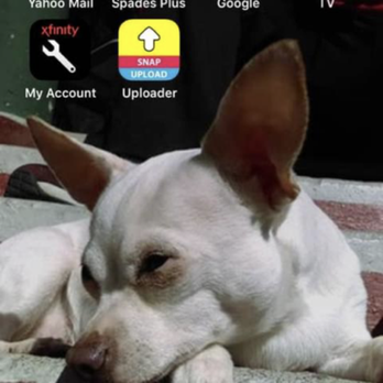 CASTRO VALLEY ANIMAL HOSPITAL - Updated May 2024 - 94 Photos & 317 ...