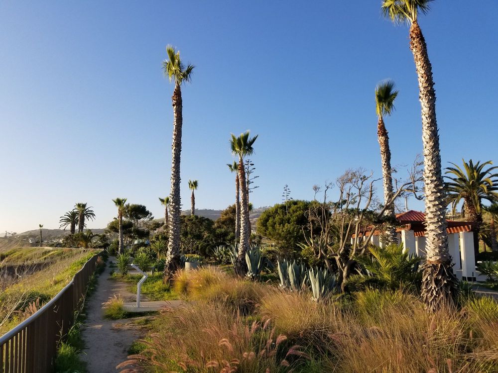 WHITE POINT PARK - 220 Photos & 49 Reviews - 1801 W Paseo Del Mar, San ...