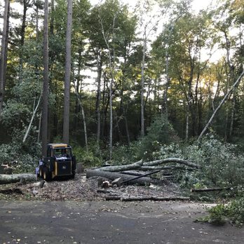 BALDI TREE - Updated December 2025 - 64 Photos - 403 Federal Furnace Rd ...