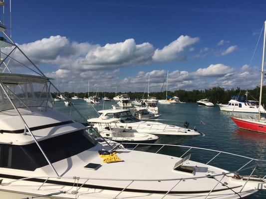 NO NAME HARBOR - 19 Photos - 1200 Crandon Blvd, Key Biscayne, Florida - Local Flavor - Yelp