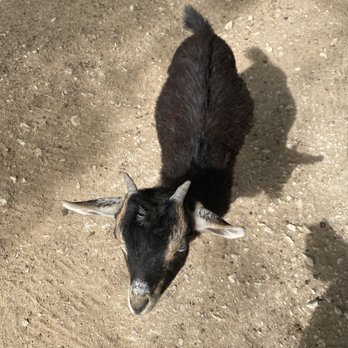 SHARKAROSA WILDLIFE RANCH - Updated January 2026 - 312 Photos & 136 ...