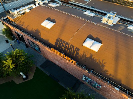 THE BEEHIVE - Updated November 2025 - 56 Photos - 961 E 61st St, Los ...