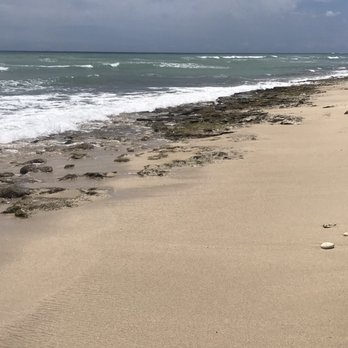 ONEULA BEACH PARK - Updated June 2024 - 126 Photos & 26 Reviews ...