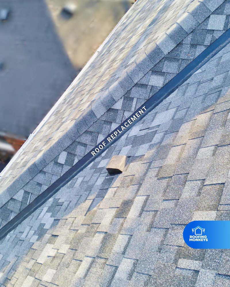 ROOFING MONKEYS - Updated January 2026 - 56 Photos - 1224 Dupont Street, Toronto, Ontario ...