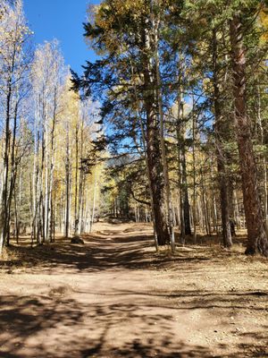 ASPEN NATURE LOOP - 42 Photos & 12 Reviews - Arizona Snowbowl ...