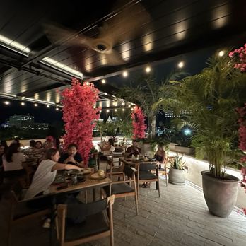 MAIZ Y AGAVE - Updated July 2024 - 392 Photos & 148 Reviews - 375 ...