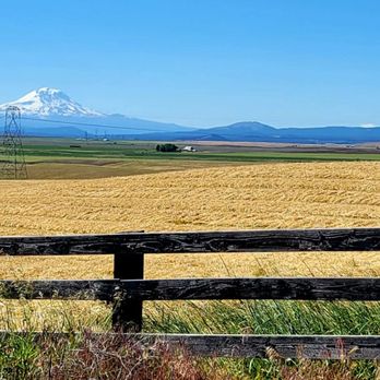 GOLDENDALE MOUNTAIN IDENTIFIER - Updated October 2025 - 13 Photos - US ...