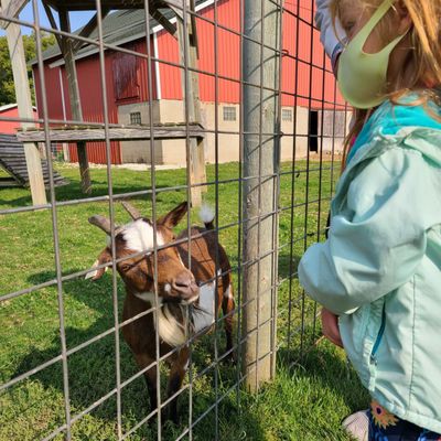 BUSY BARNS ADVENTURE FARM - Updated September 2024 - 19 Photos & 12 ...