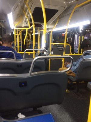 MTA-B44 BUS - Updated September 2024 - 18 Photos - 258 Nostrand Ave ...