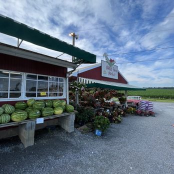 NALLS FARM MARKET - Updated December 2025 - 30 Photos & 41 Reviews ...
