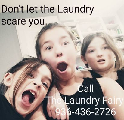 THE LAUNDRY FAIRY - Updated August 2025 - Spring, Texas - Laundry ...