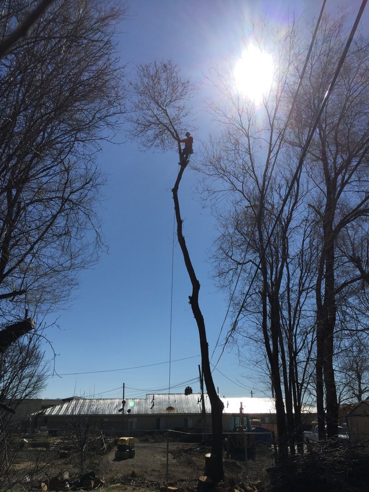 GOLDEN TREE SERVICE - Updated October 2025 - 1511 N 2800 W, Provo, Utah ...