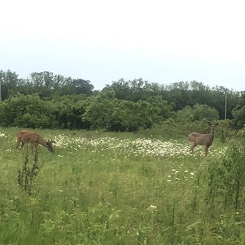 SPRINGBROOK PRAIRIE FOREST PRESERVE - Updated December 2025 - 126 ...