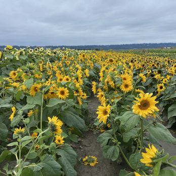 STOCKER FARMS - Updated September 2024 - 178 Photos & 116 Reviews ...