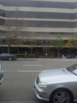 WILEY W MANUEL COURTHOUSE - Updated January 2026 - 24 Photos & 74 ...