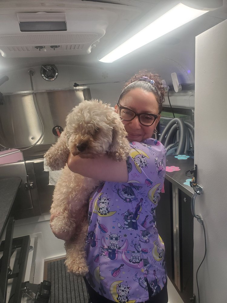 BECKY’S FURBABY STYLING - Updated May 2025 - Edison, New Jersey - Pet ...