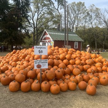LONG FAMILY ORCHARD & FARM - Updated October 2025 - 135 Photos & 127 ...