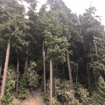 HURRICANE RIDGE - Updated June 2024 - 432 Photos & 97 Reviews - 600 E ...