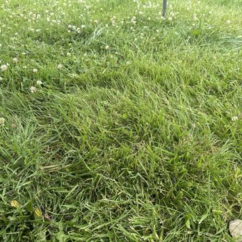 MADISON KOA - Updated October 2025 - 15 Photos & 18 Reviews - 4859 Co ...