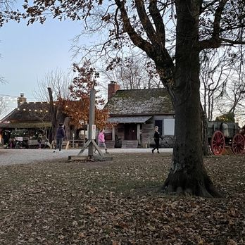 DULL’S TREE FARM - Updated September 2024 - 76 Photos & 46 Reviews ...