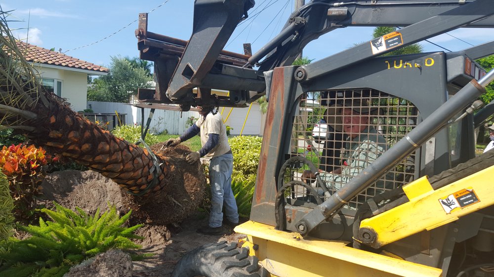 SUNRISE TREE & LANDSCAPING - Updated August 2025 - 43 S Pompano Pkwy ...