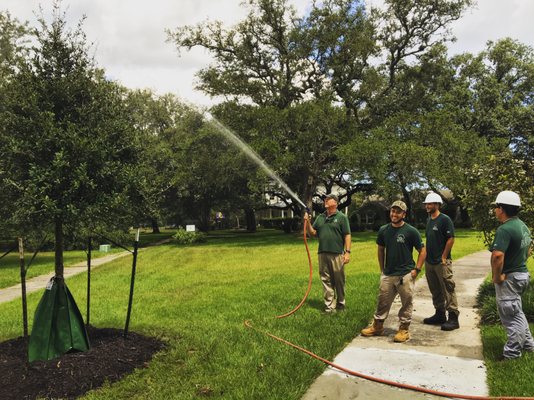 BAYOU TREE SERVICE - Updated November 2025 - 46 Photos & 11 Reviews ...