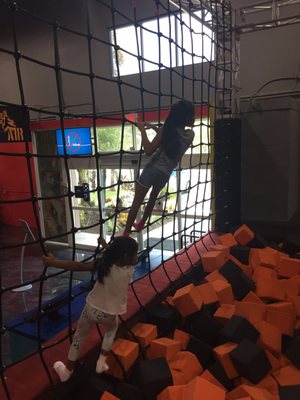 AIRHEADS TRAMPOLINE ARENA - ST. PETE/CLEARWATER - 40 Photos & 49 ...